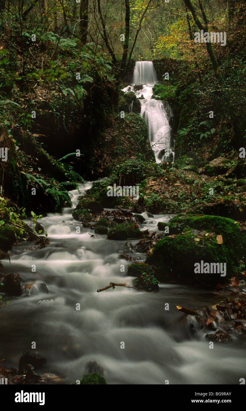 Clampitt falls hi-res stock photography and images - Alamy