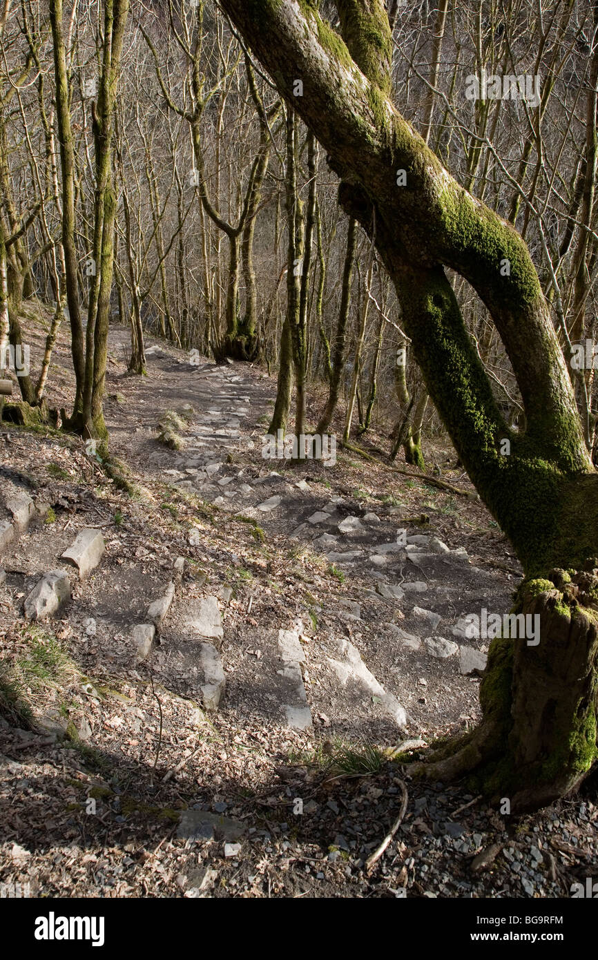 YSTRADFELLTE WATERFALL PATH, BRECON: The Four waterfalls walk path near ...