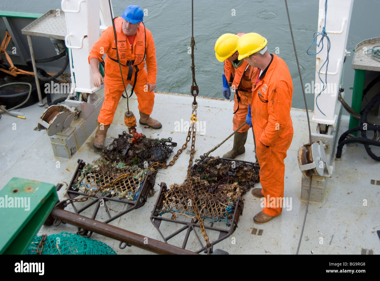 Plankton research hi-res stock photography and images - Alamy
