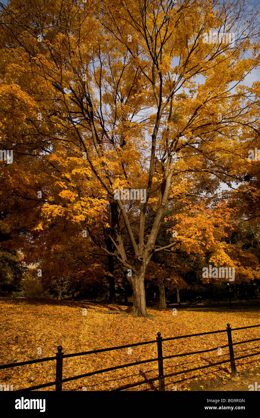 Central scene at fall season Stock Photo - Alamy
