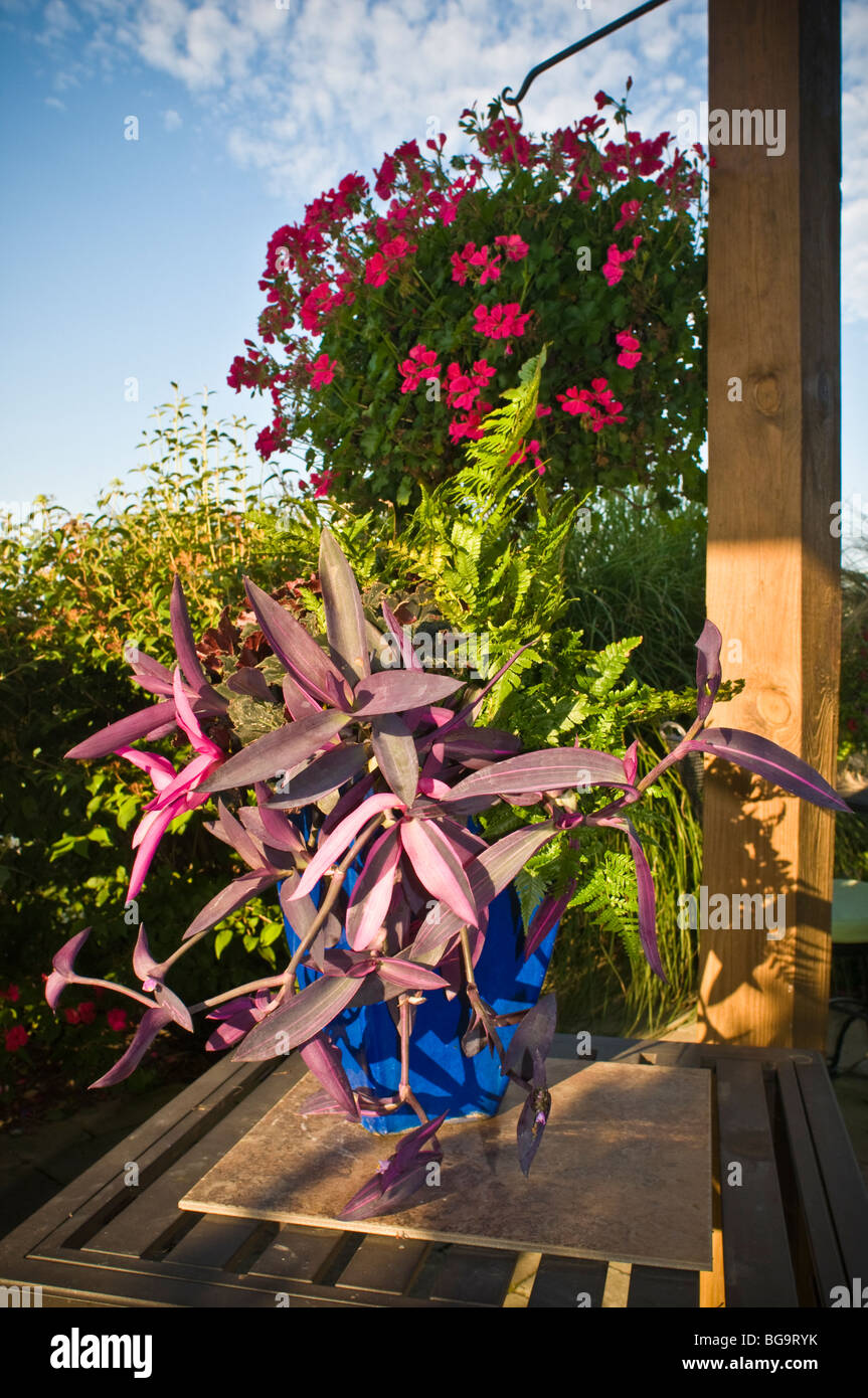 Home landscape displays Stock Photo - Alamy