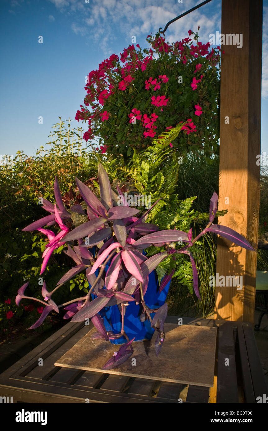 Home landscape displays Stock Photo - Alamy