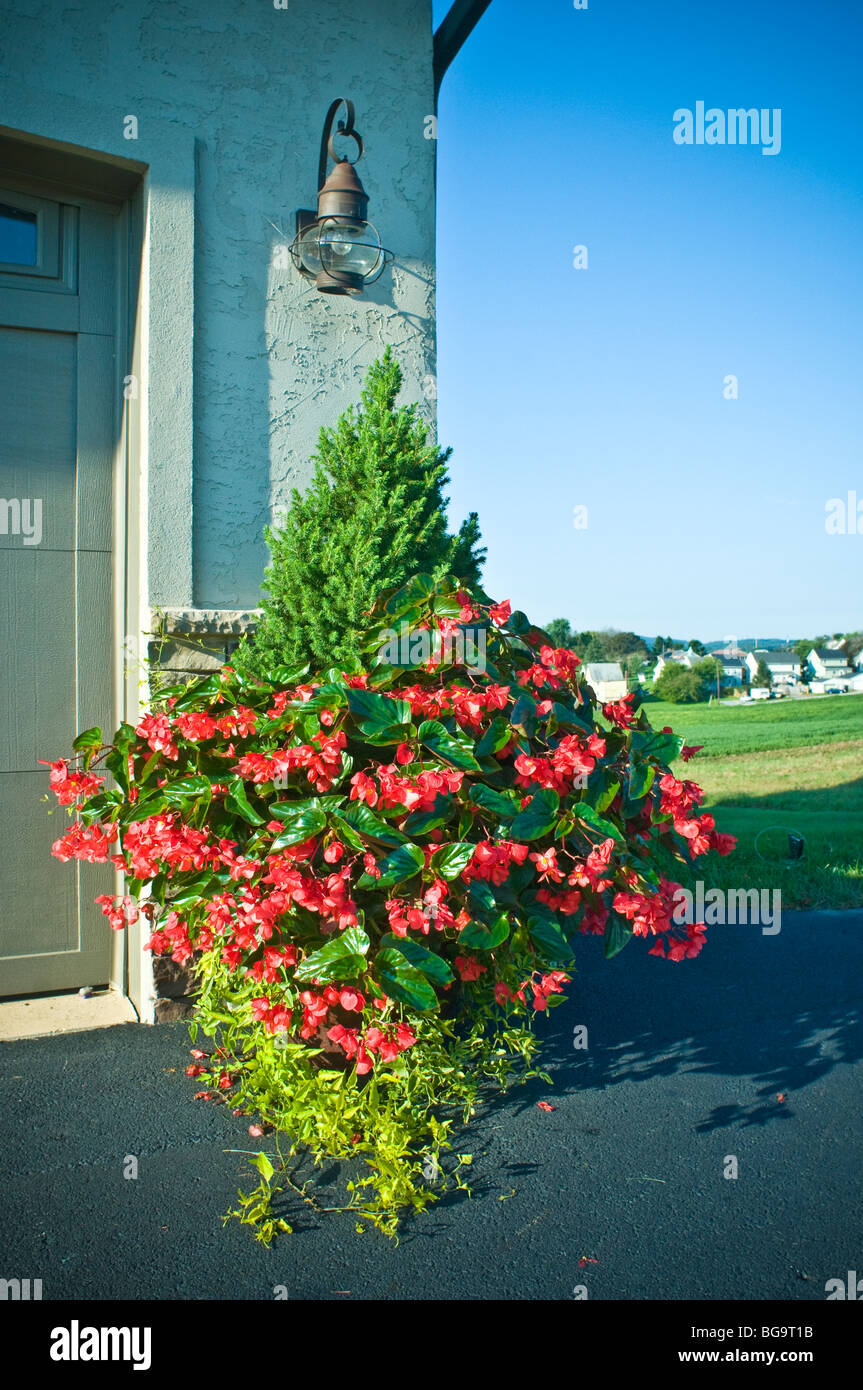 Home landscape displays Stock Photo - Alamy