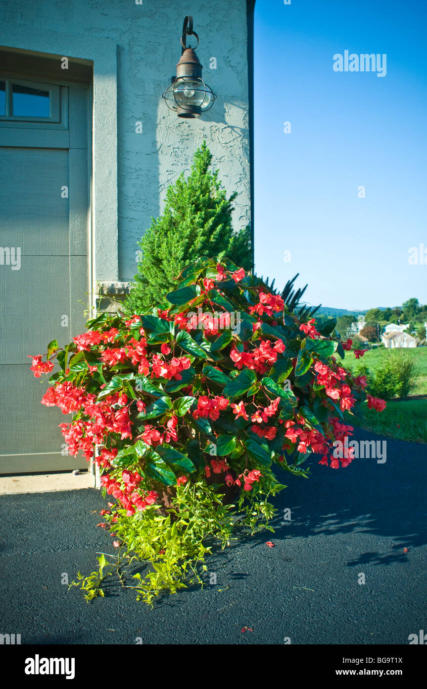 Home landscape displays Stock Photo - Alamy