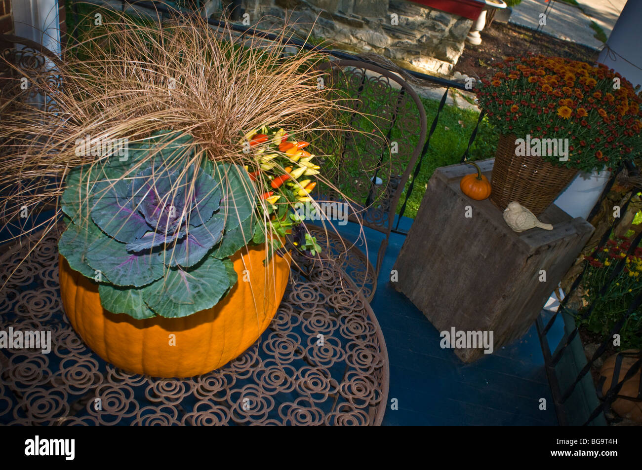 Home landscape displays Stock Photo - Alamy