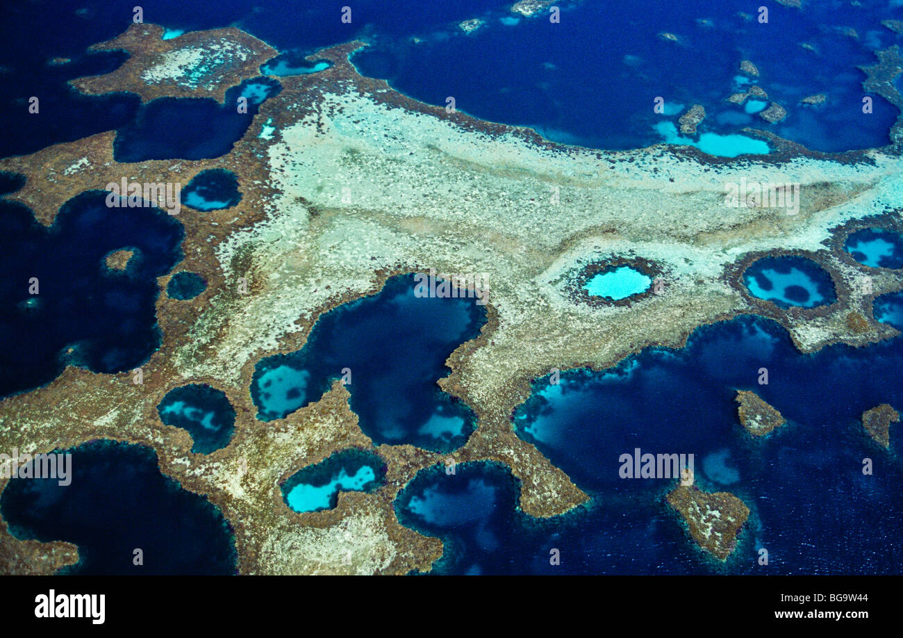 Coral reef, Abrolhos Islands, Western Australia Stock Photo - Alamy