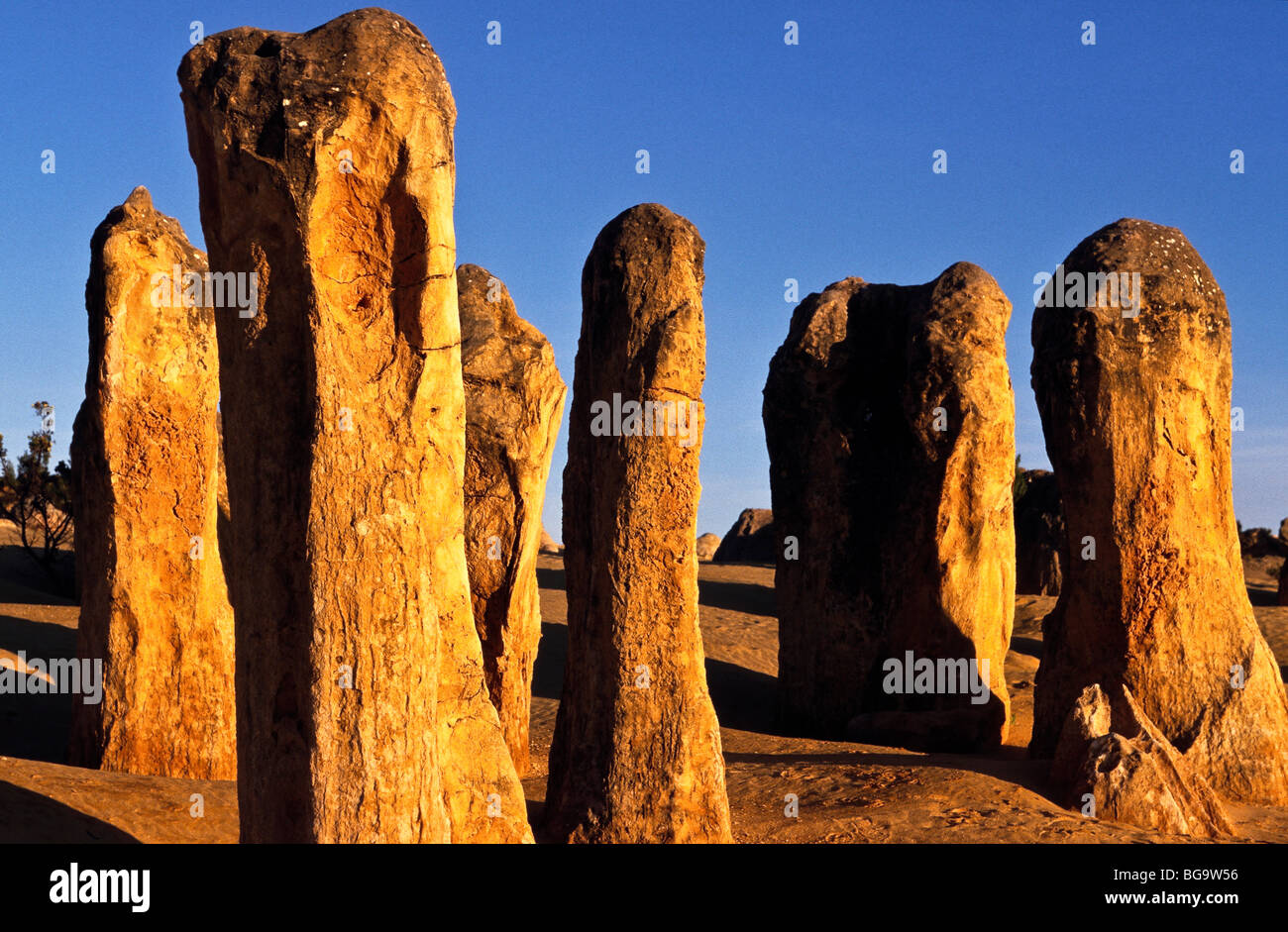 Limestone pillars, Nambung NP Western Australia Stock Photo - Alamy