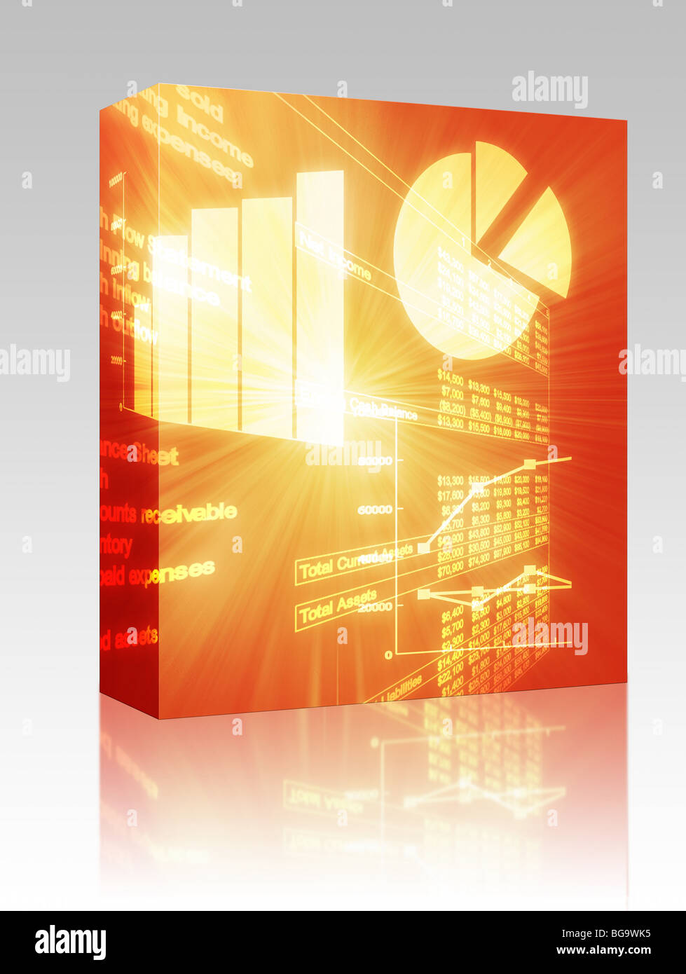 Software package box Illustration of Spreadsheet data and business ...
