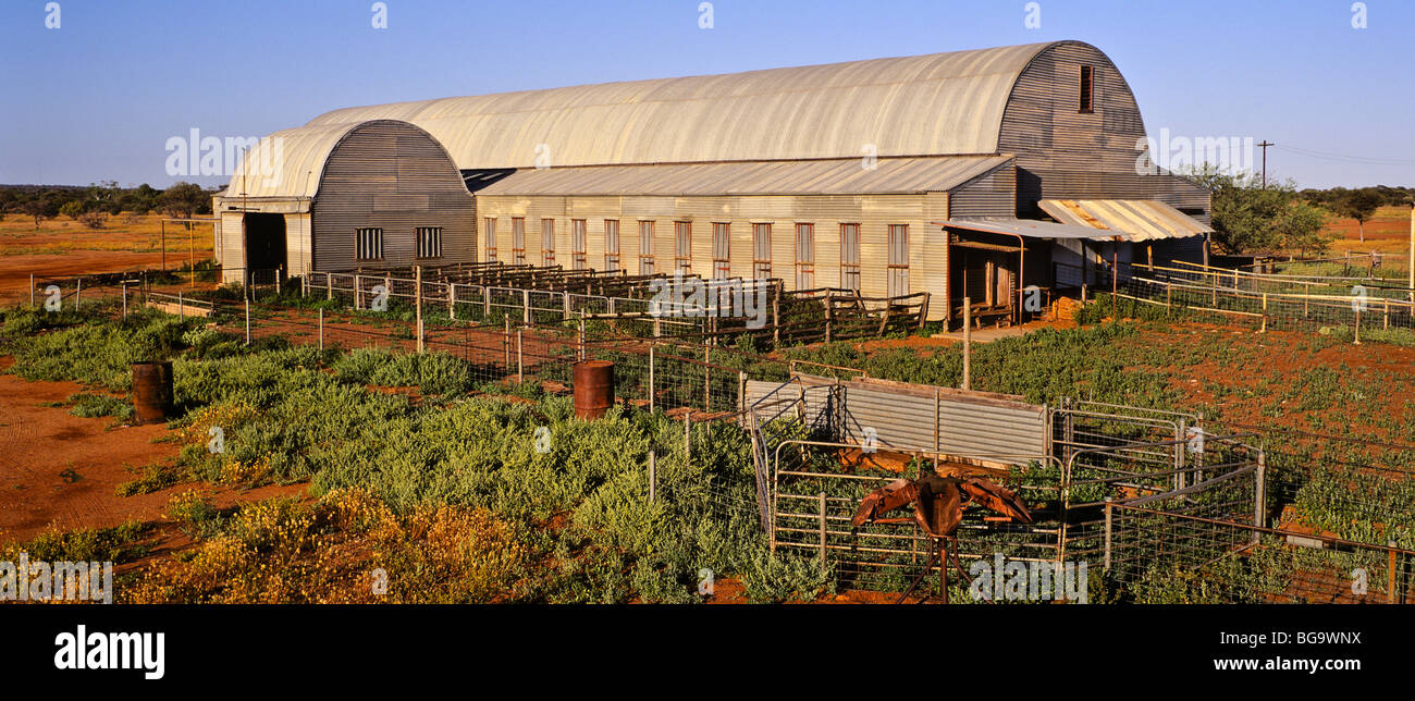Domed corrugated woolshed circa 1920 Western Australia Stock Photo - Alamy