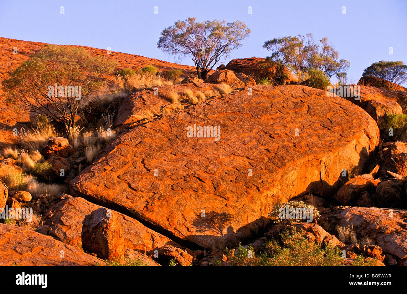 Ancient Granite outcrop, outback Australia Stock Photo - Alamy