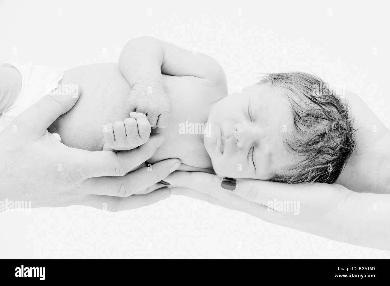 A black and white photograph of a newborn Caucasian male baby being held by its parents' hands ...
