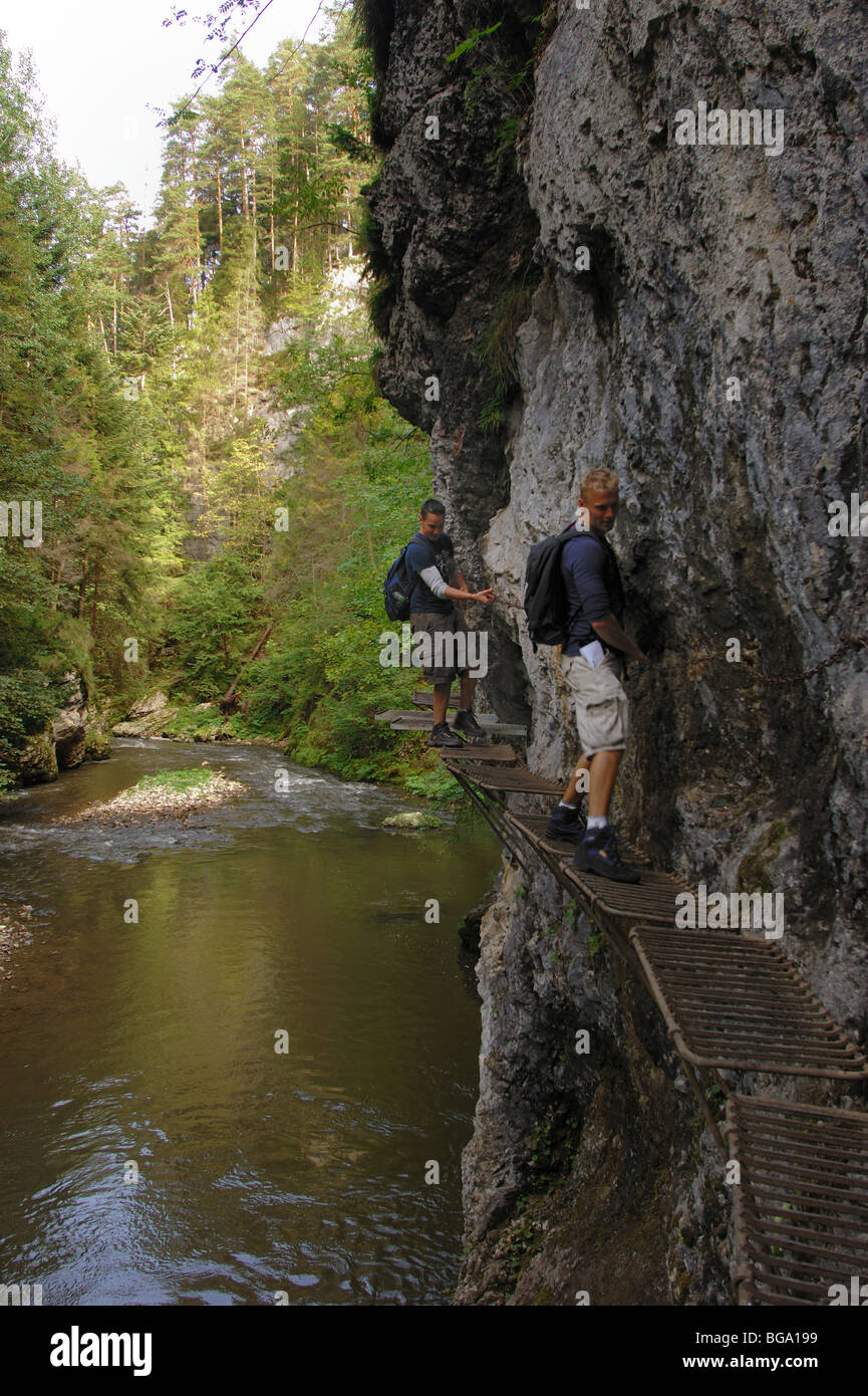 Walkers on the iron walkways in the Hornad River Canyon Slovensky Raj ...