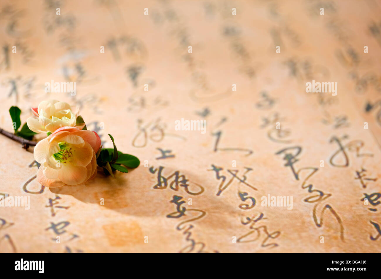 Chinese calligraphy hi-res stock photography and images - Alamy