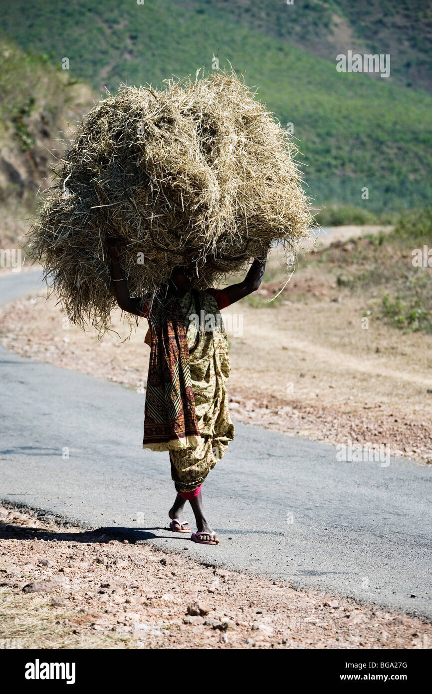 Woman carrying hay at a road in Orissa state, India Stock Photo - Alamy