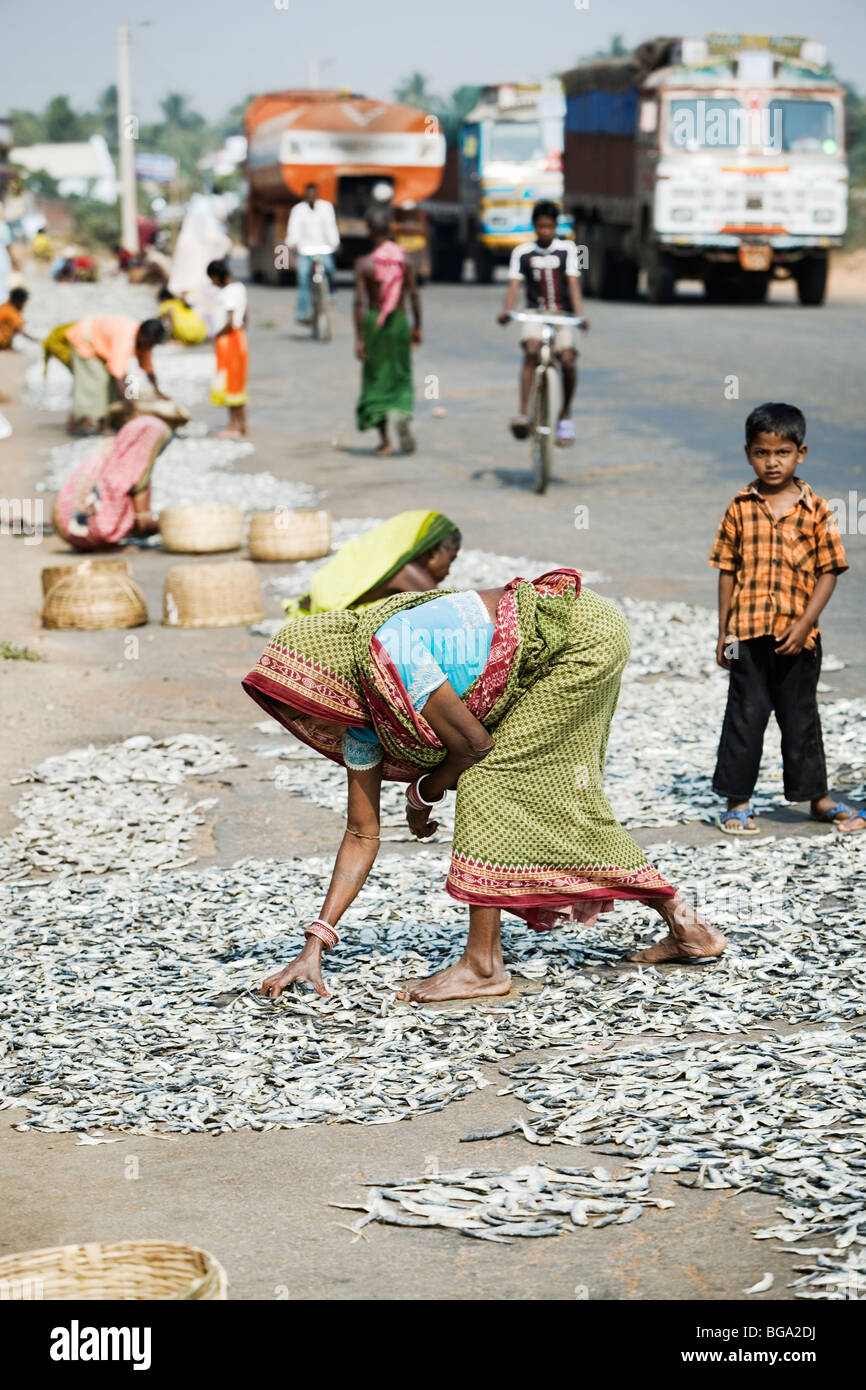 Woman drying fish on asphalt highway in Orissa state, India Stock Photo ...