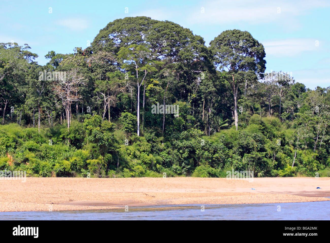Kapok tree amazon hi-res stock photography and images - Alamy