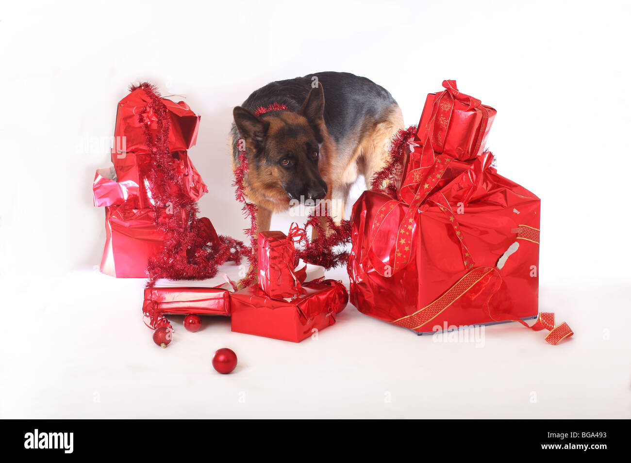 Unwanted Gifts High Resolution Stock Photography and Images - Alamy