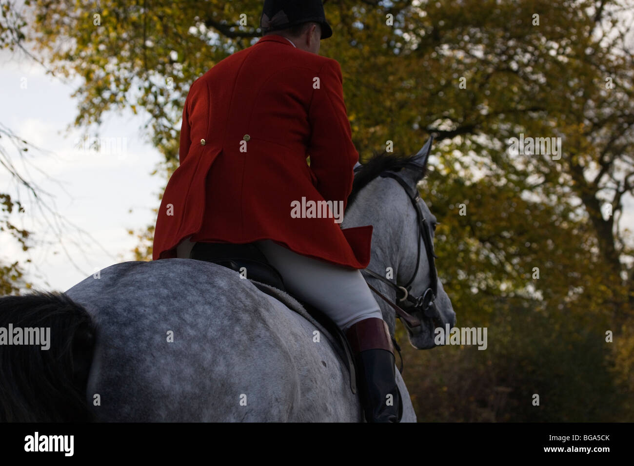 English hunting horse hi-res stock photography and images - Alamy
