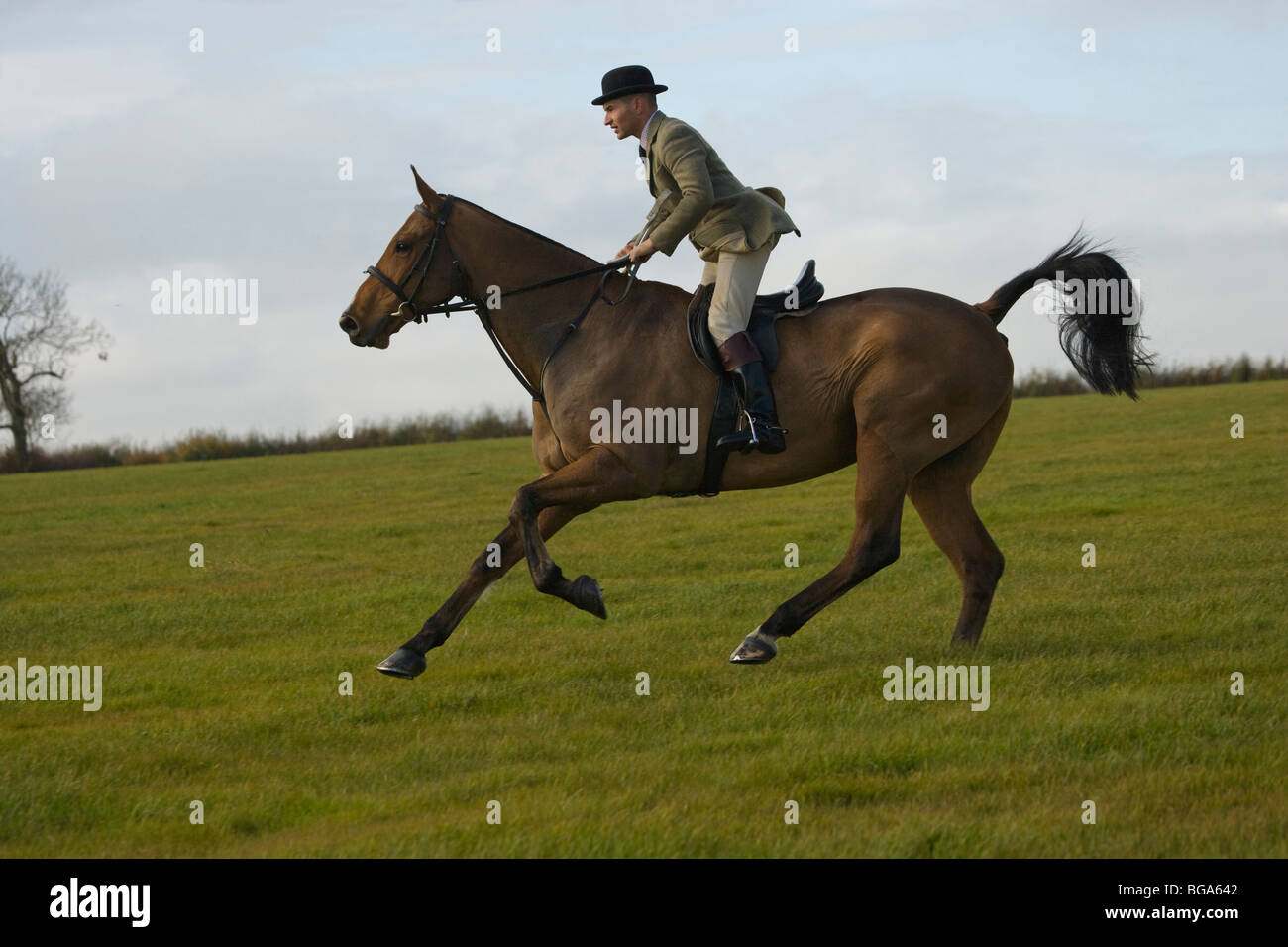 English hunting horse hi-res stock photography and images - Alamy