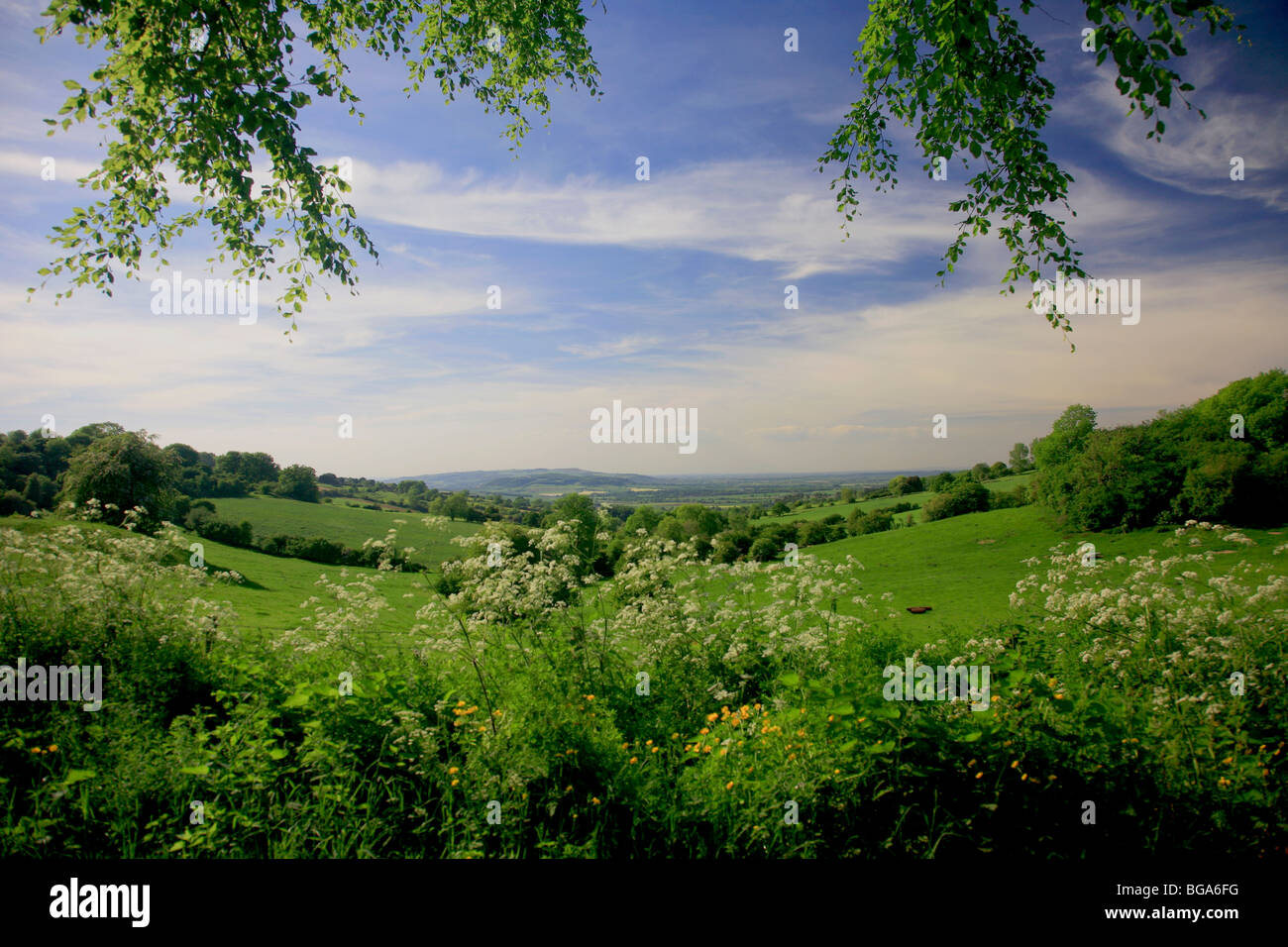 Green and Pleasant Fields Landscape Broadwell village Gloucestershire ...