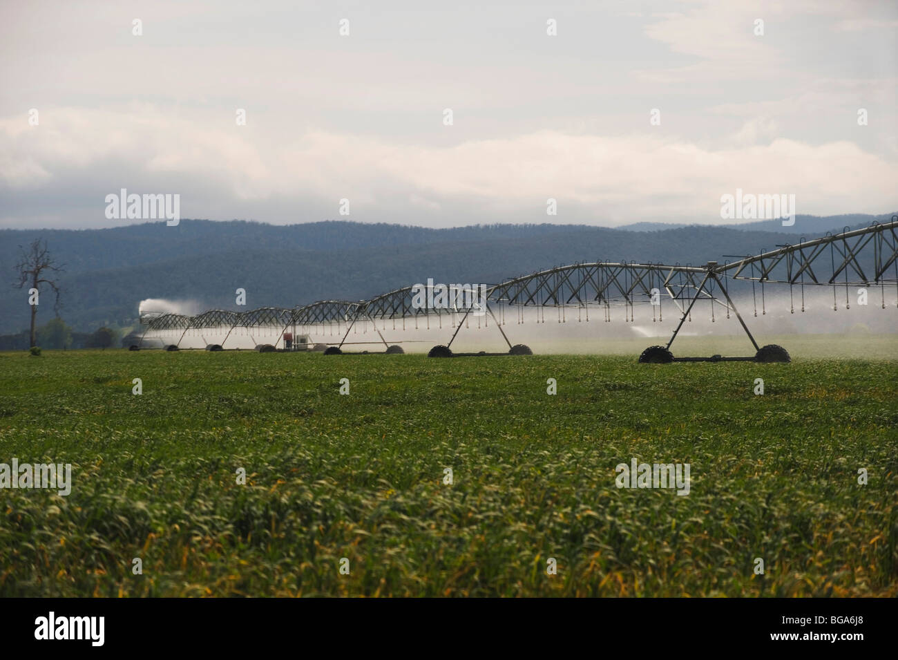 boom spray irrigation system Stock Photo - Alamy