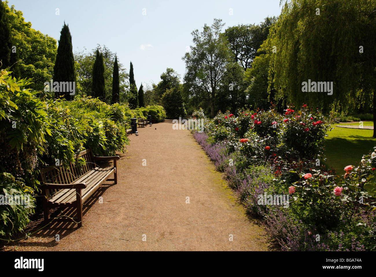 Singleton Park Botanical Gardens, Swansea, West Glamorgan, South Wales ...