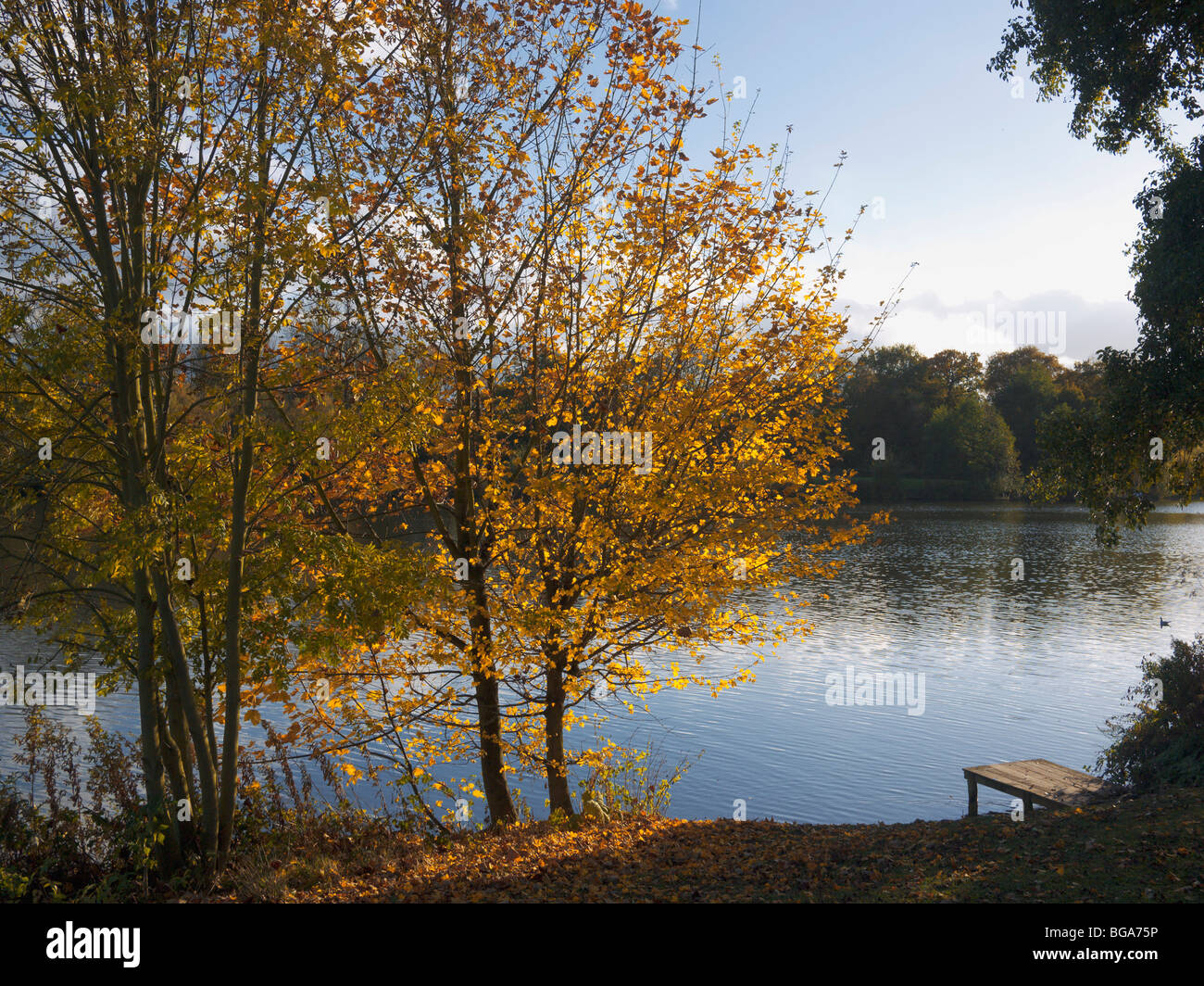 arrow valley lake country park redditch worcestershire midlands england ...