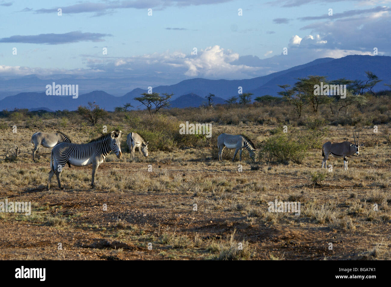 Matthews range kenya hi-res stock photography and images - Alamy