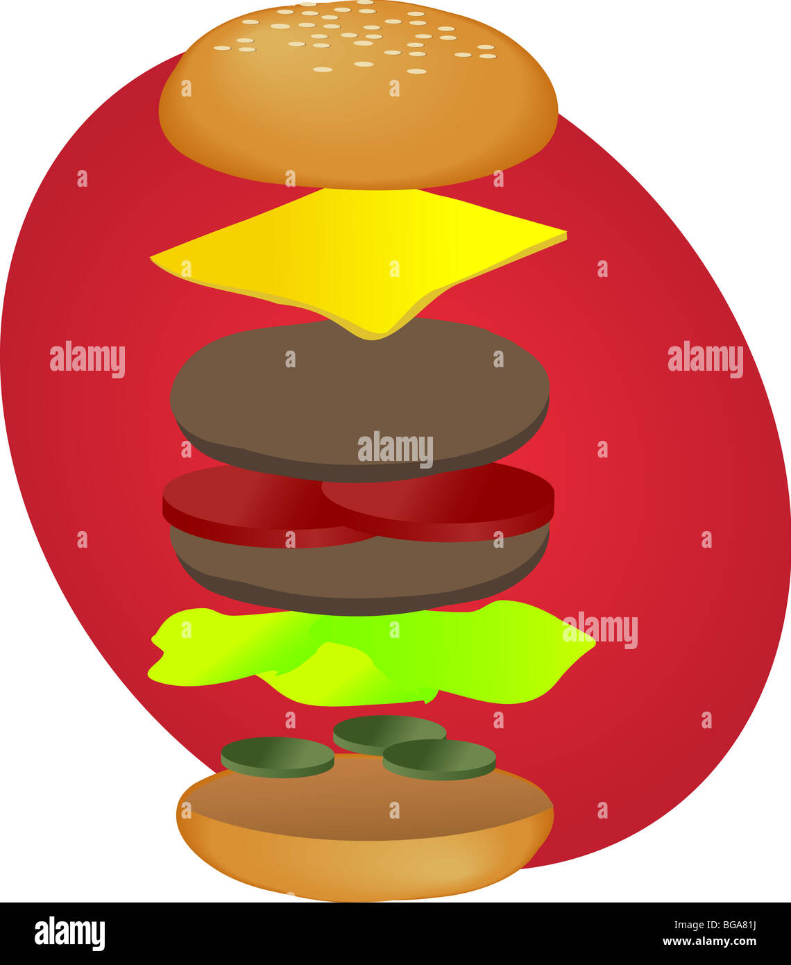 Hamburger illustration, breakdown into sections, fastfood diagram Stock ...