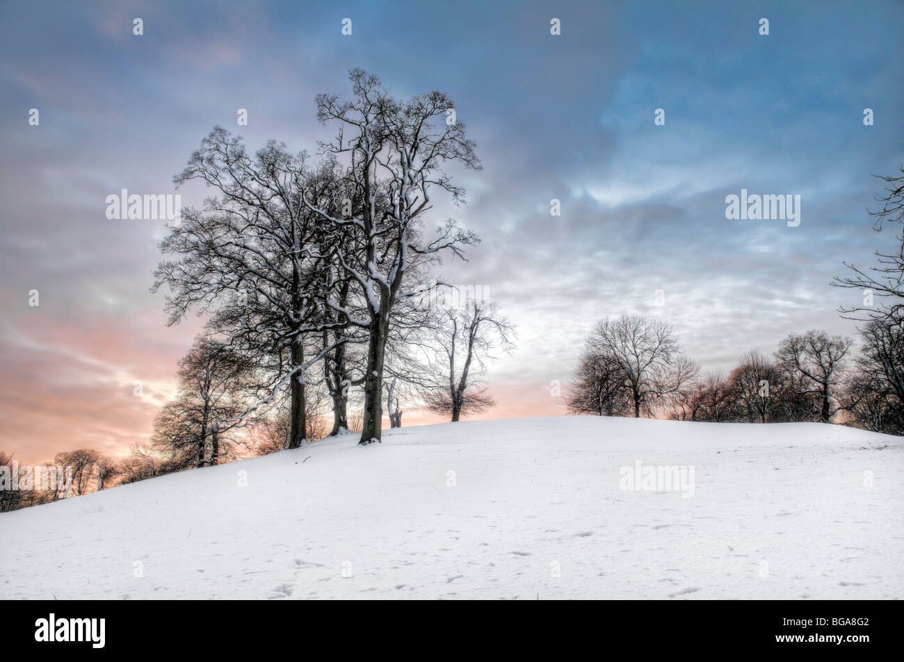 Sunset, snow covered scene of rolling hills and trees taken from ...