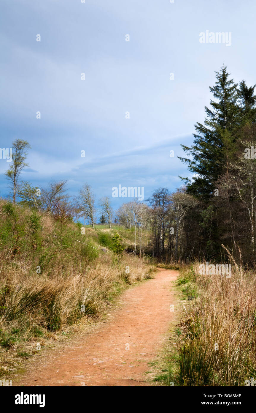 Trail footpath hi-res stock photography and images - Alamy