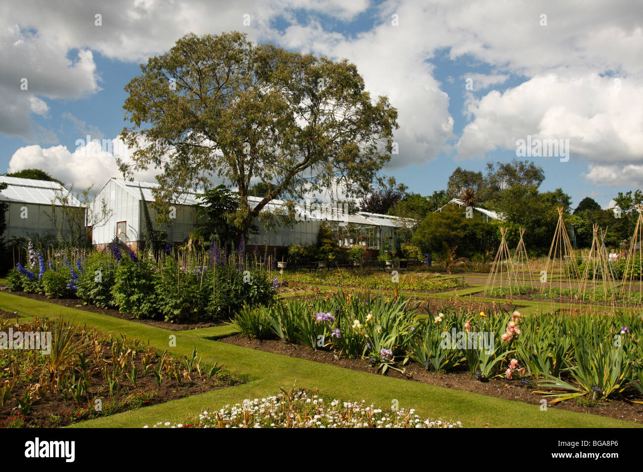 Singleton botanical gardens hi-res stock photography and images - Alamy
