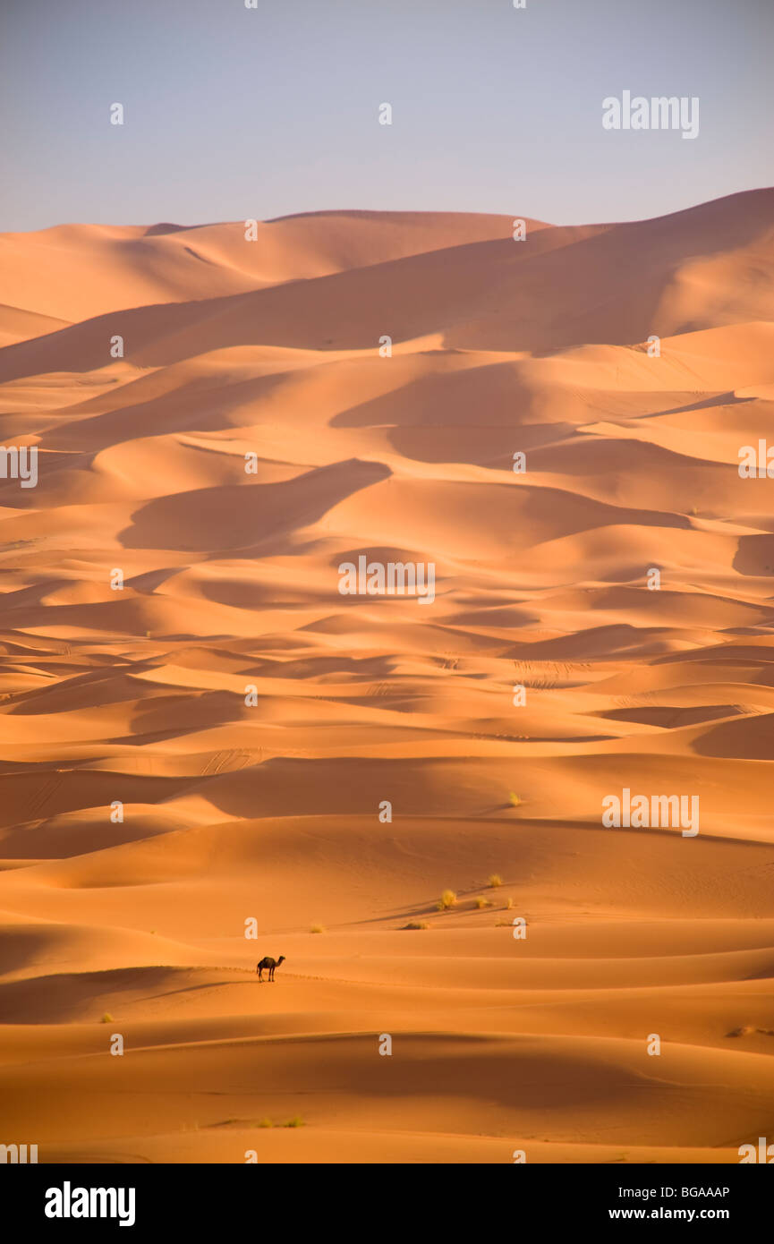 Erg Chebbi, Merzouga, Ziz Valley, Sahara Desert, Morocco Stock Photo ...
