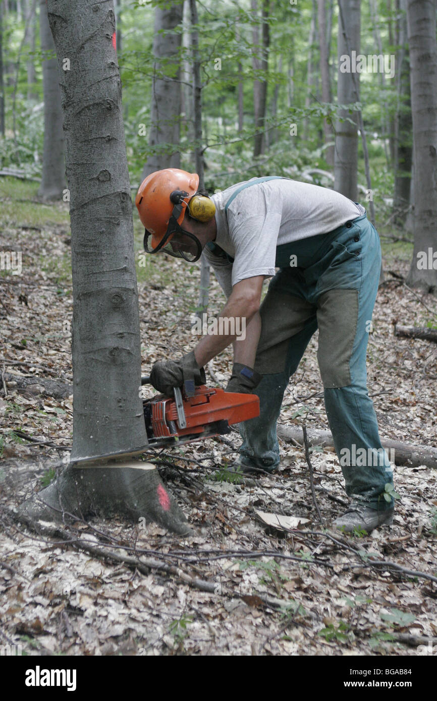 Tribec hi-res stock photography and images - Alamy