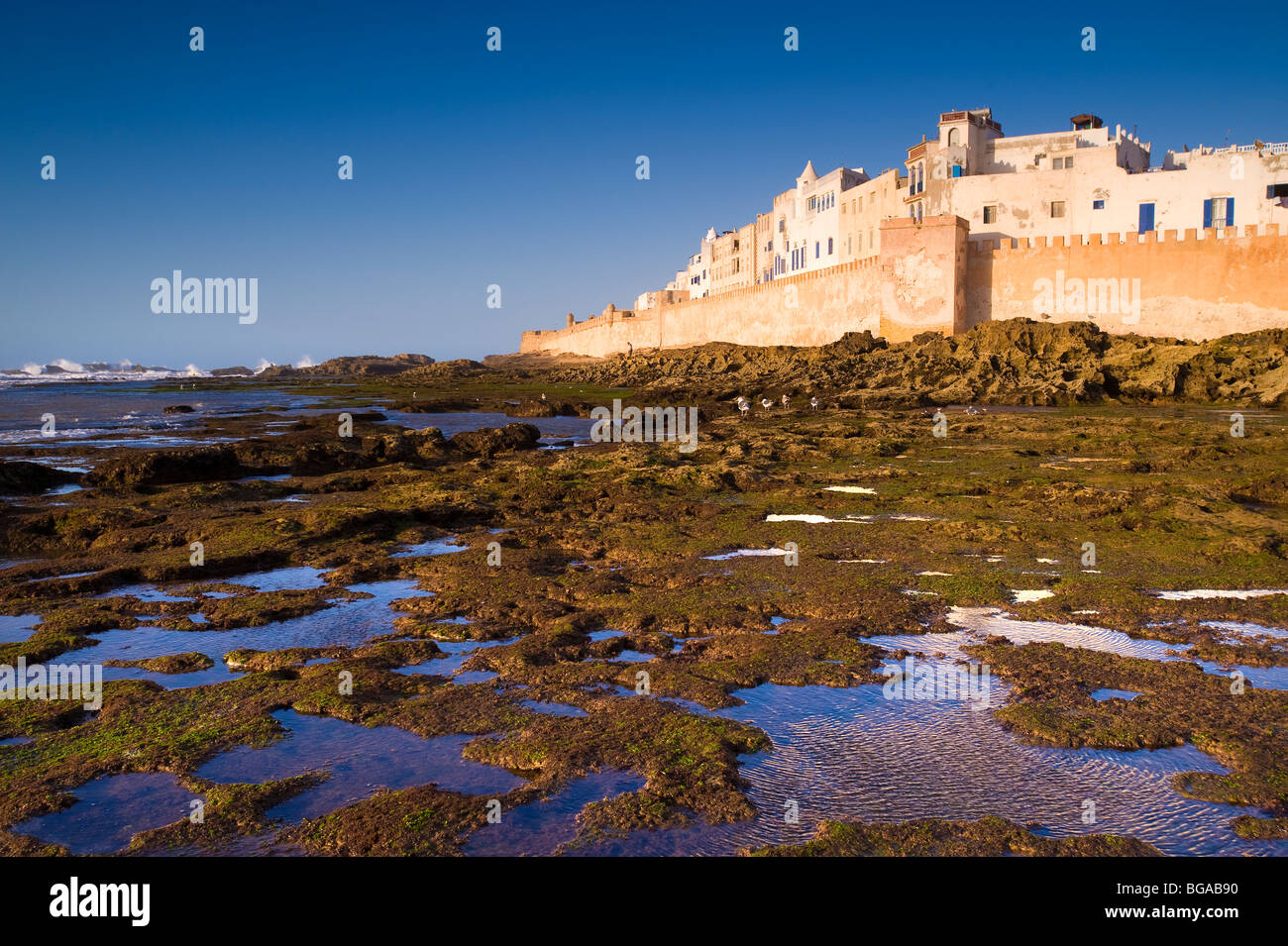 The Medina, Essaouira, Atlantic Coast, Morocco Stock Photo - Alamy