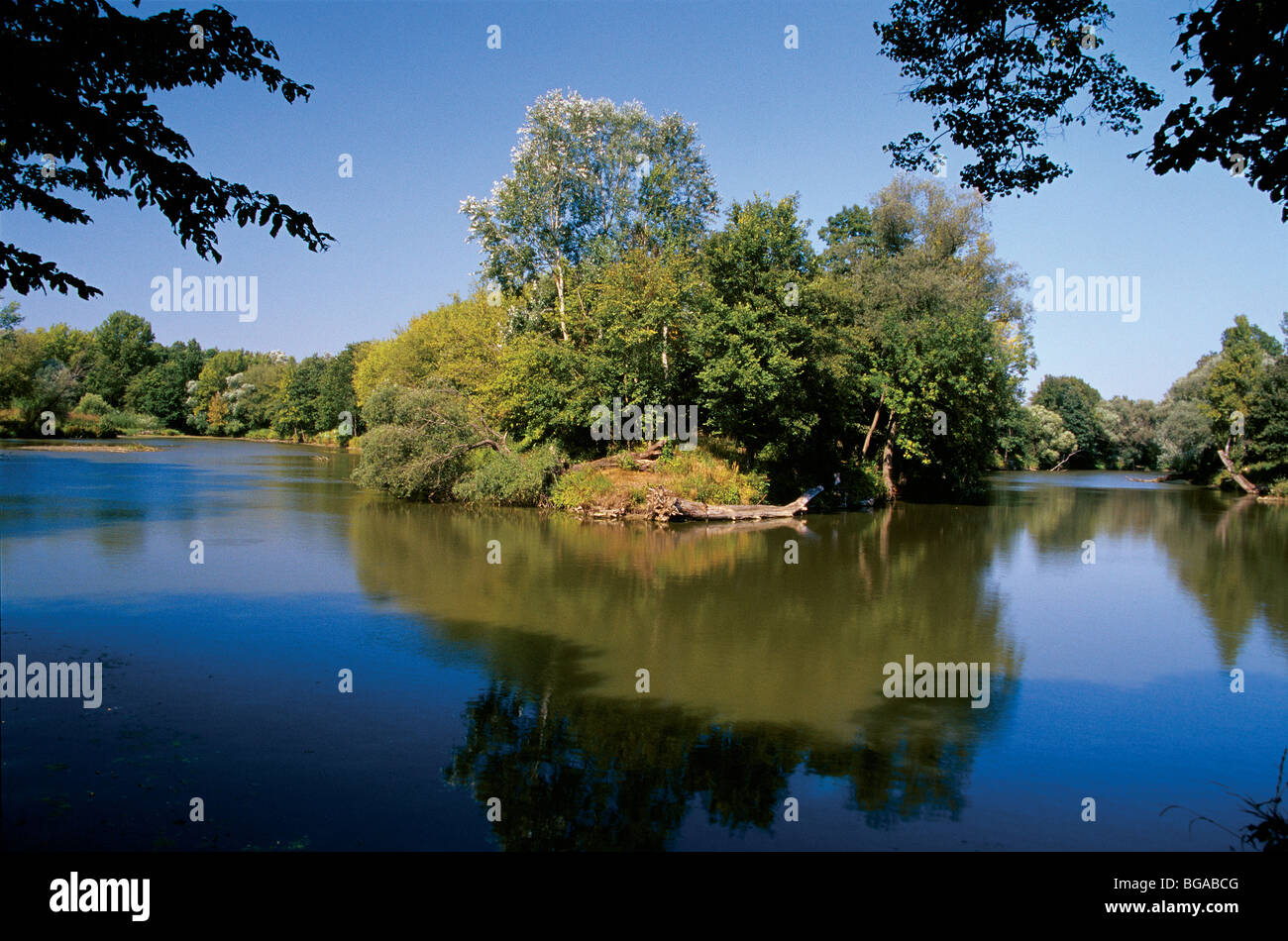 Luzne lesy, Katov. Rieka Morava Stock Photo - Alamy