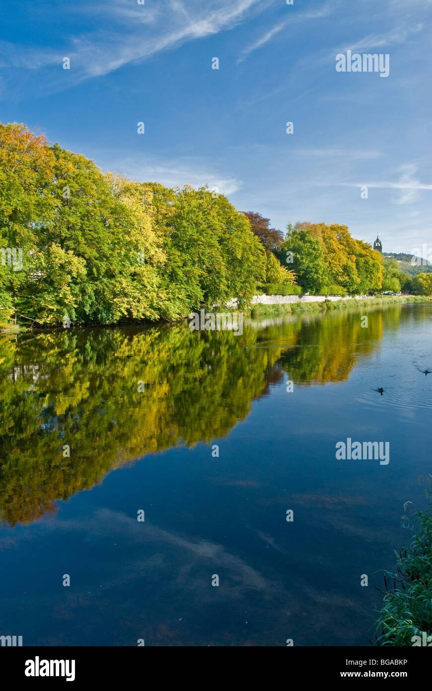 River Tweed in Autumn colours at Peebles Scottish Borders Stock Photo ...