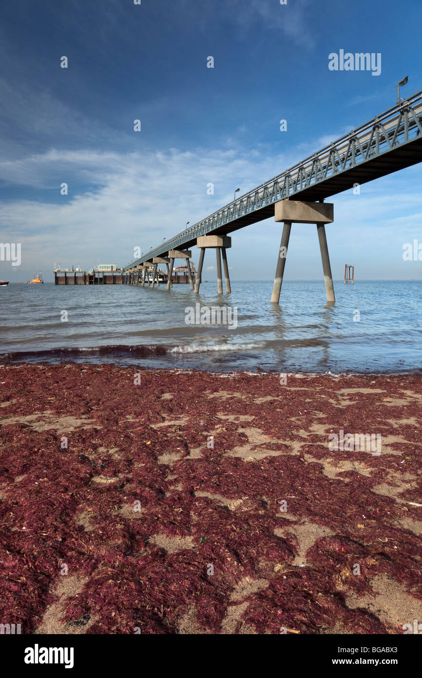 Spurn point hi-res stock photography and images - Alamy