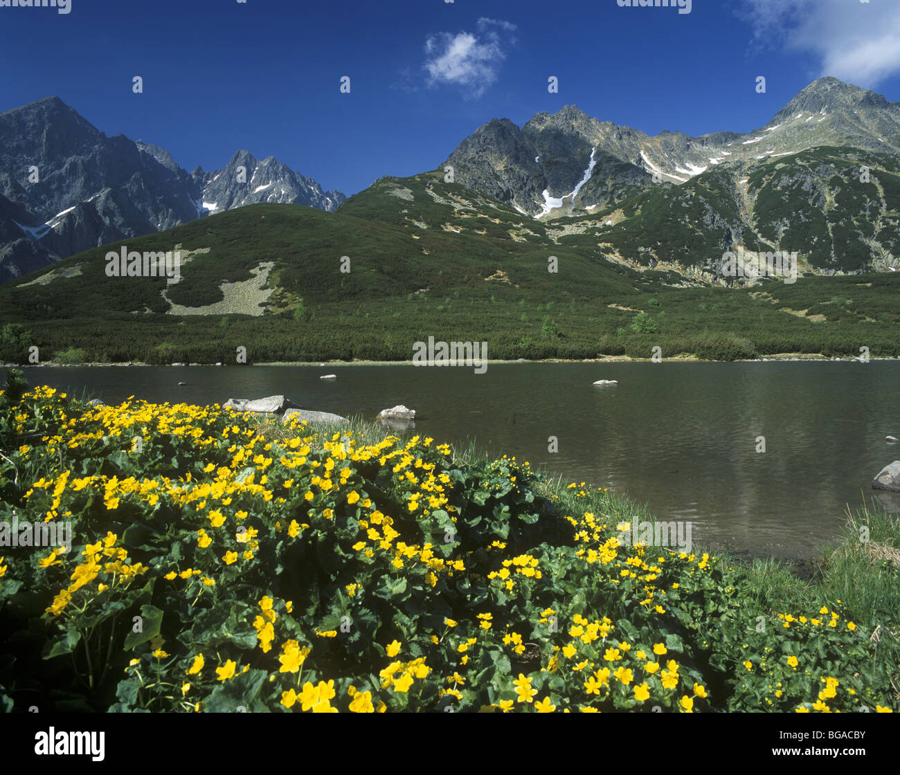 The High Tatras. Belianske Tatry. Slovakia Stock Photo - Alamy