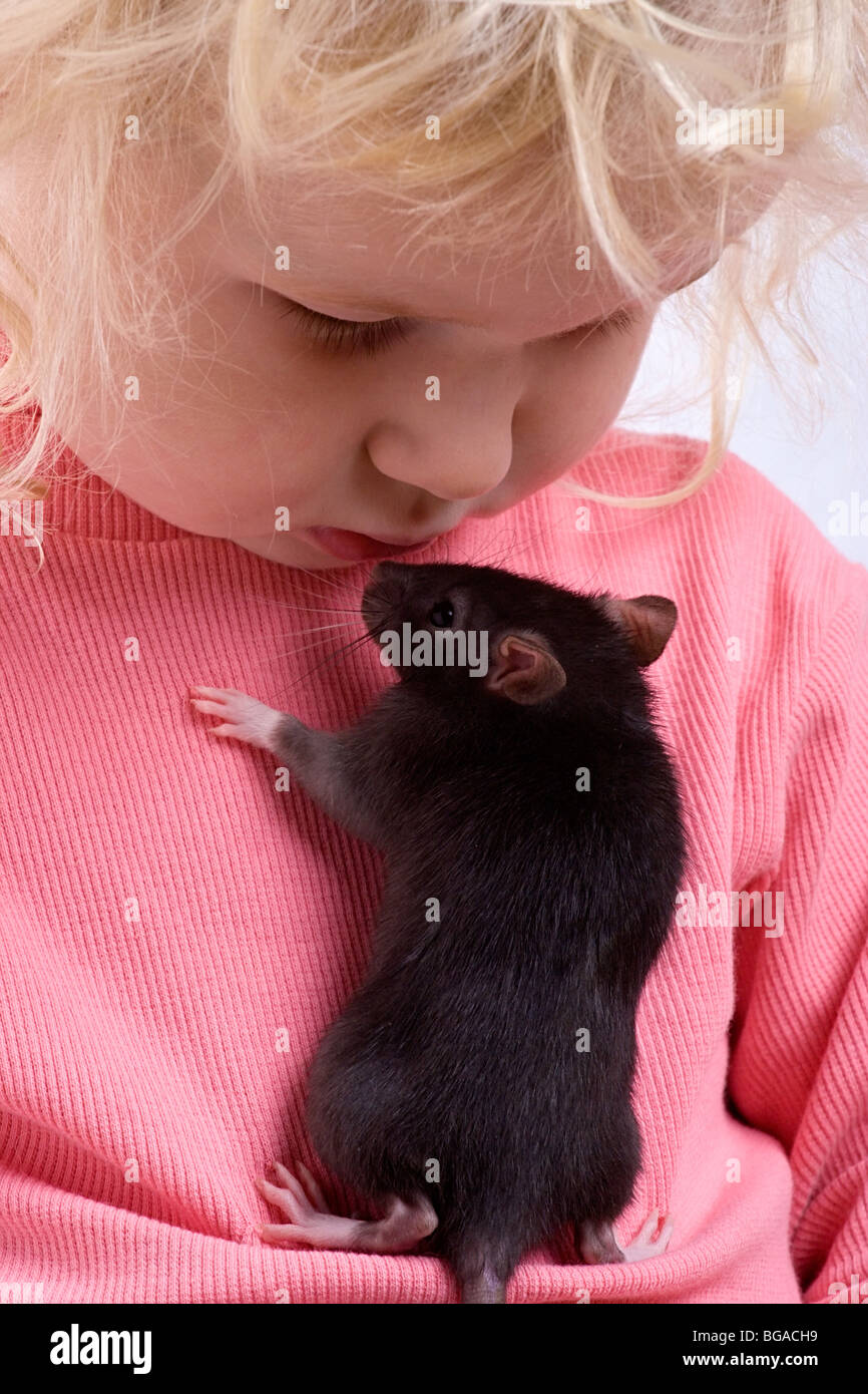 close-up portrait of young girl with rat on white background Stock ...