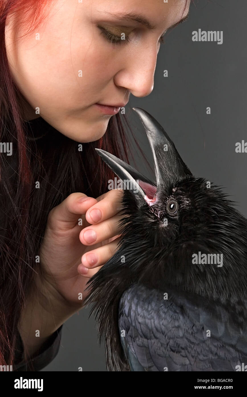 Raven with young hi-res stock photography and images - Alamy