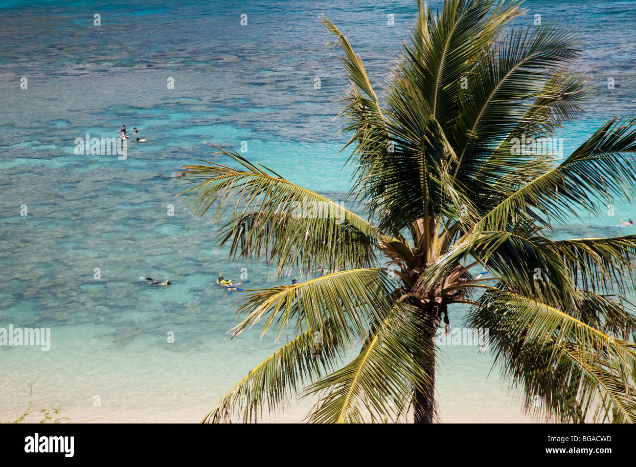 Oahu's state park - Hanauma bay Stock Photo - Alamy