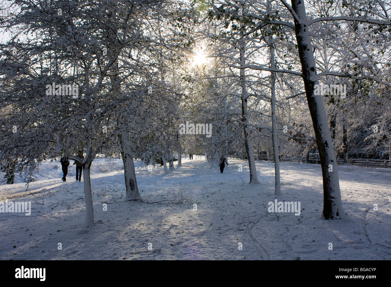 snow on ground Stock Photo - Alamy