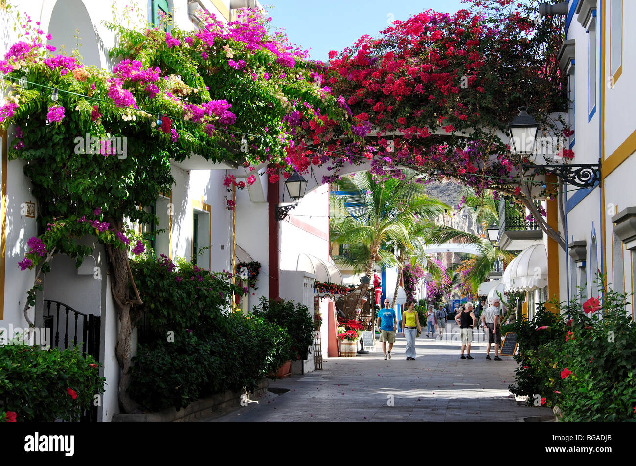 Street with colourful Bougainvillea flowers, Puerto de Mogan, Mogan ...