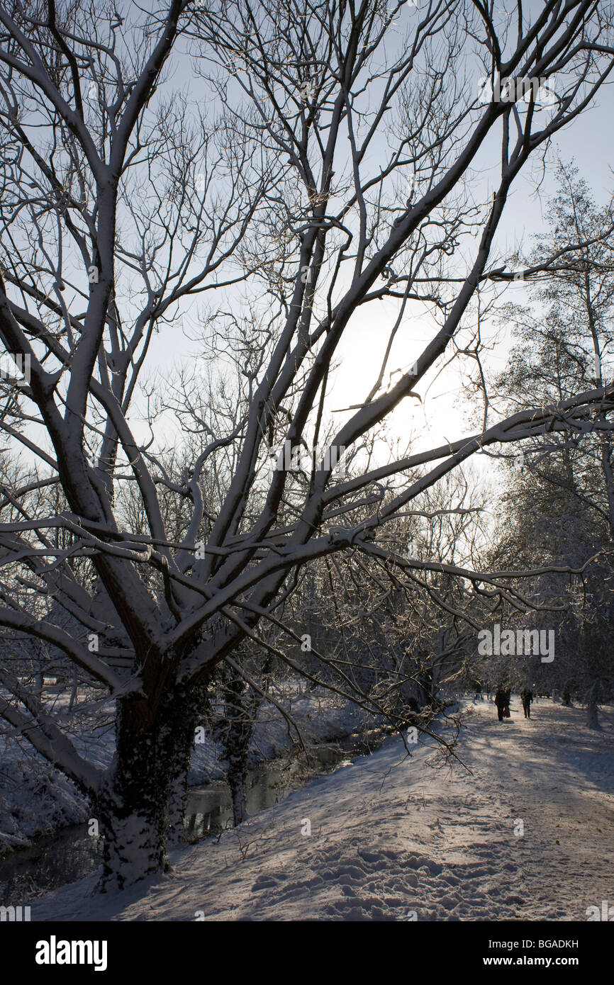 snow on ground Stock Photo - Alamy