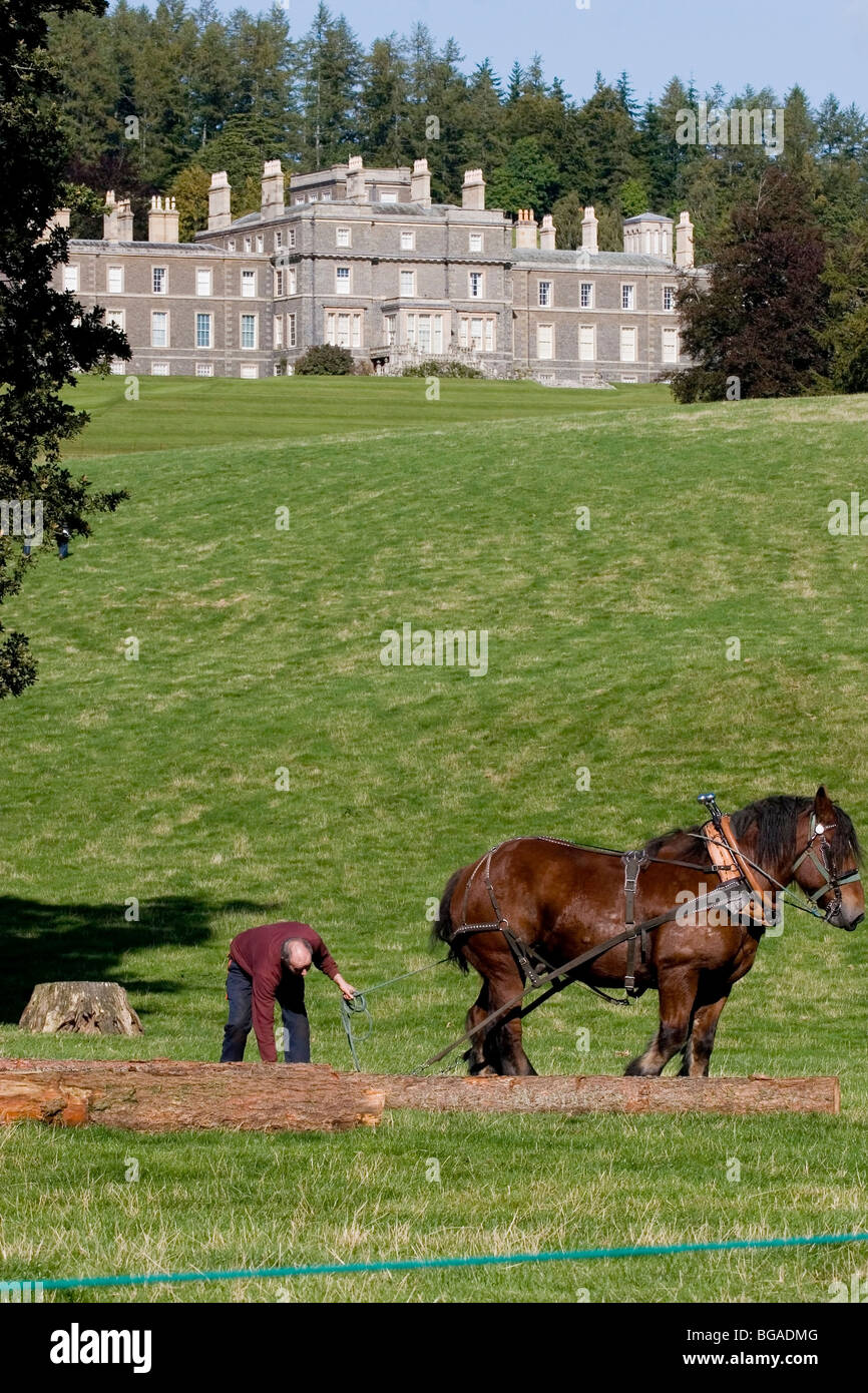 Traditional Ploughing techniques on Display at Bowhill Estate, Selkirk ...