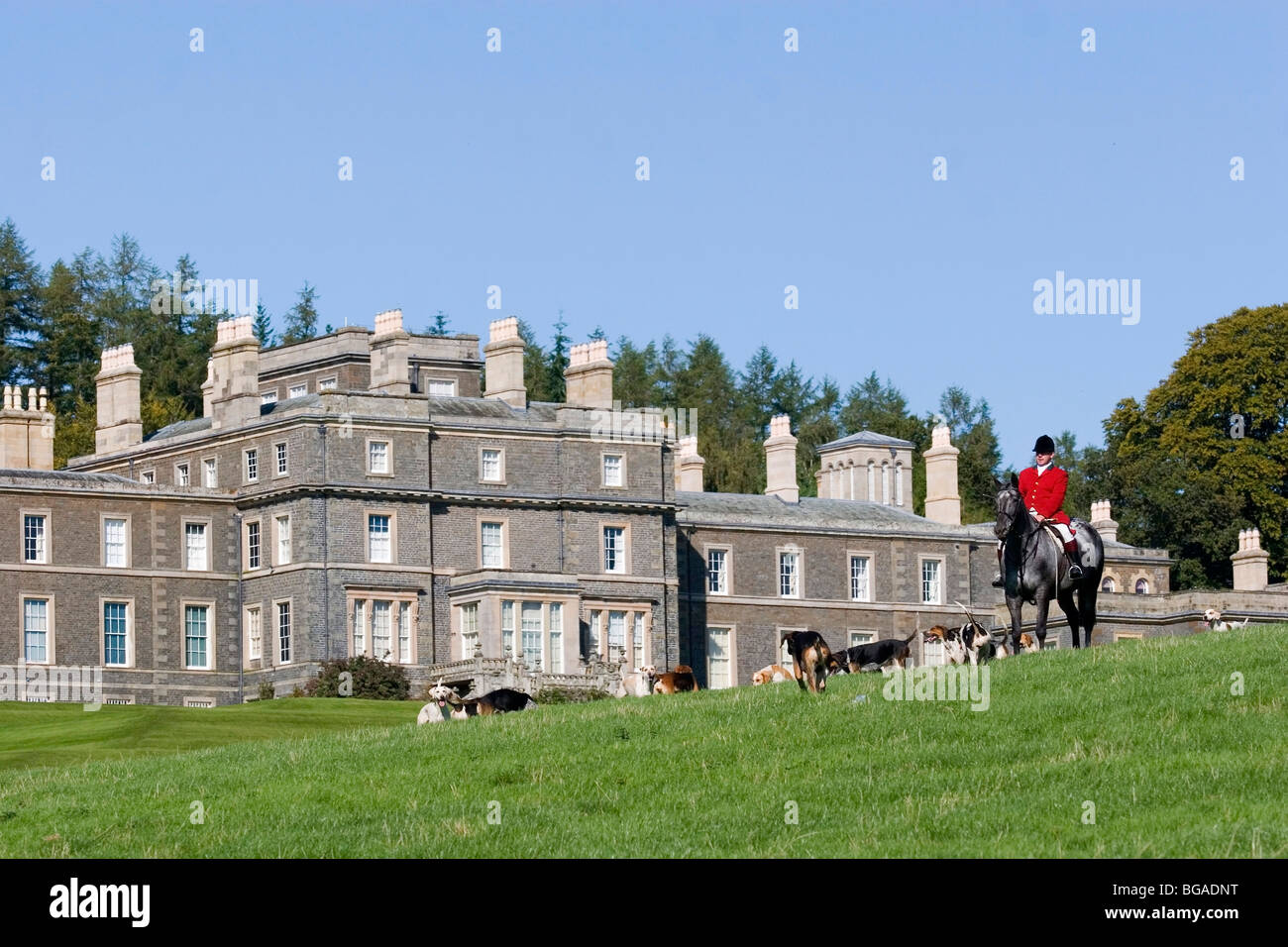 Display of traditional British Hunting with Dogs on the Bowhill Estate ...