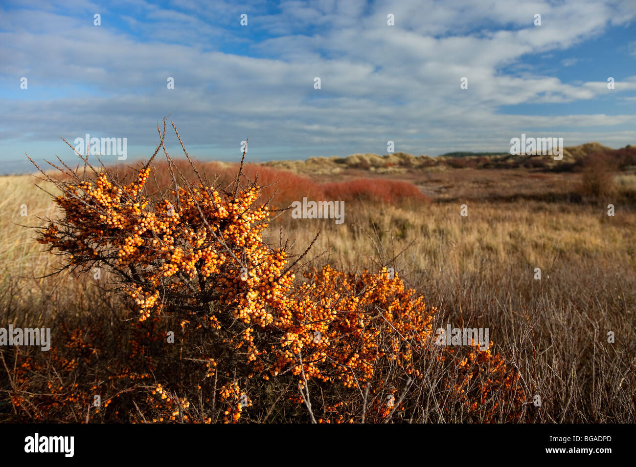 Birkdale hi-res stock photography and images - Alamy