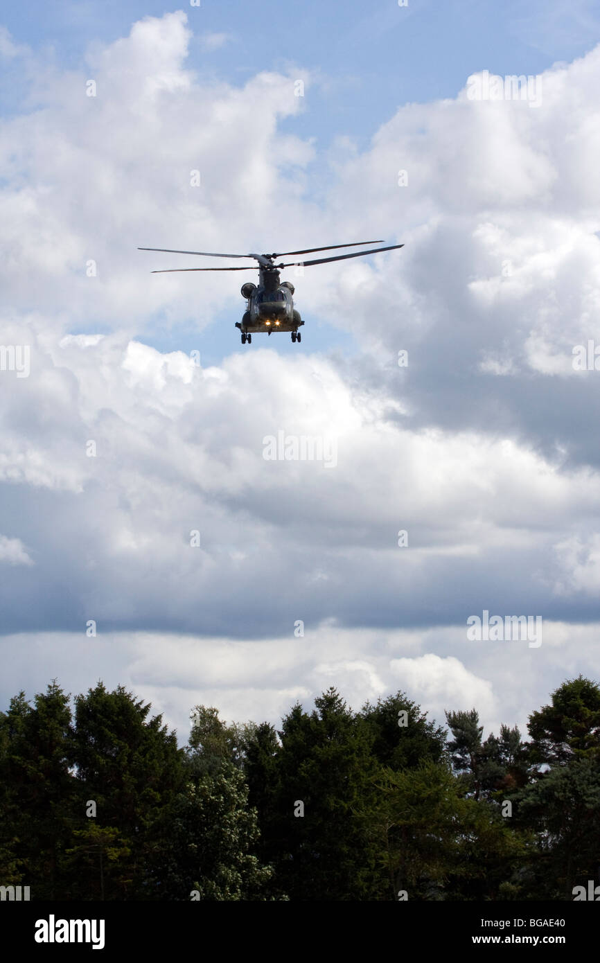 RAF Chinook Support Helicopter HC2 2A hovering over trees Stock Photo ...