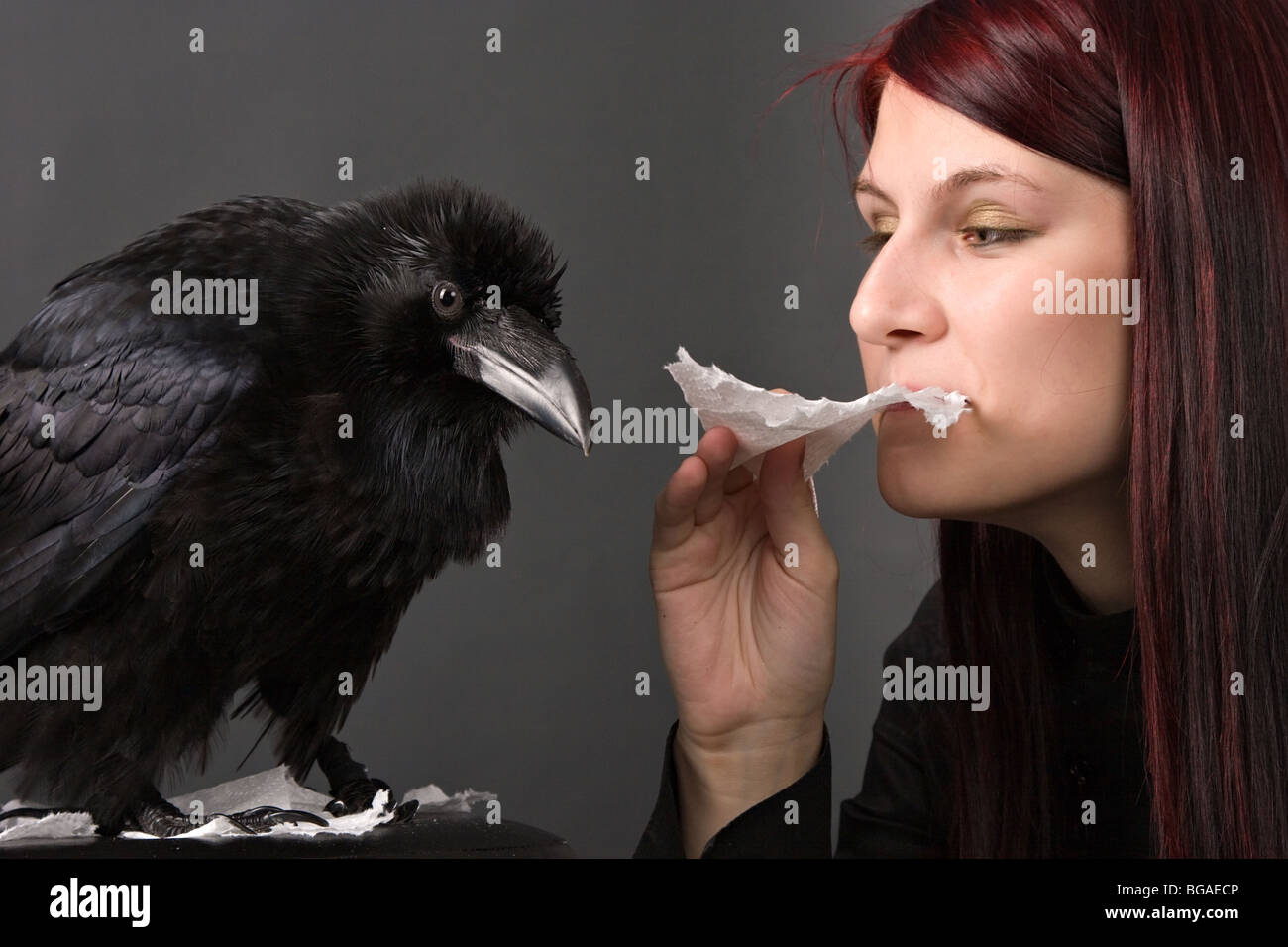 young woman with long red hair and big black raven Stock Photo - Alamy
